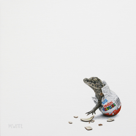 Marcel Witte - Surprise