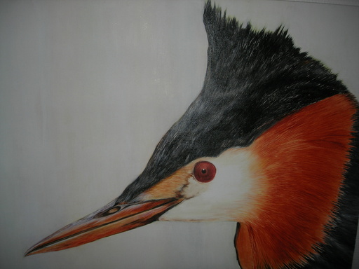 Isabel Fourneau - isabelfourneau