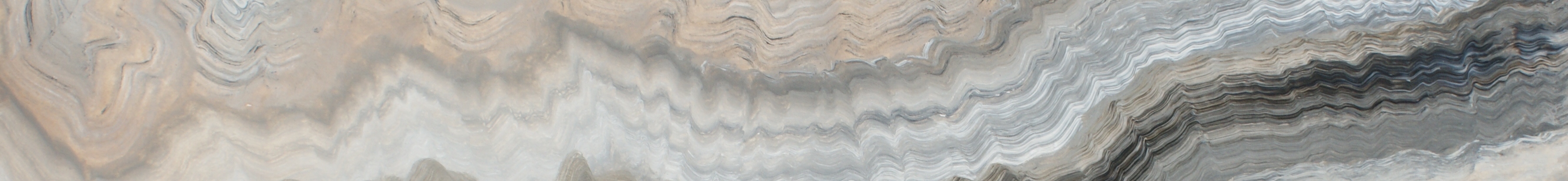 Ronald Botterman - Biografie