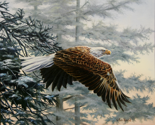 Gerard ter Horst - Gerard ter Horst